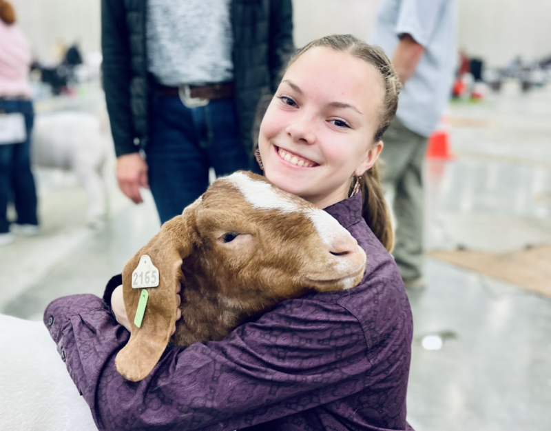 Building a Winning Lineage: Pedigree in Boer Goat Breeding